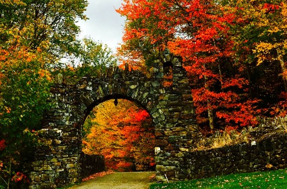 Ownership Details | The Balsams Resort